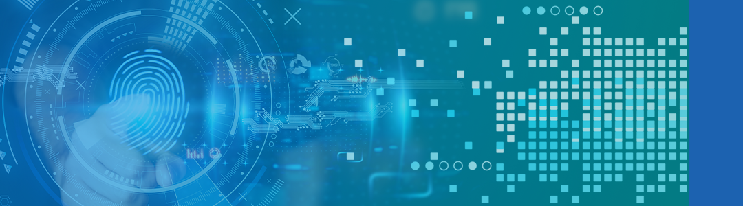 Understanding the Basics: Hardware RAID vs Software RAID - Nfina